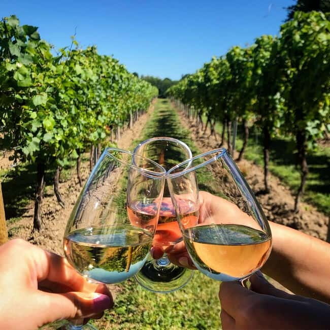 Rome Countryside: Wine Tasting Tour with Private Driver - Key Points
