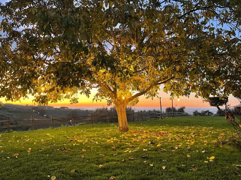 Rome Countryside: Wine Tasting Tour with Private Driver - Frequently Asked Questions