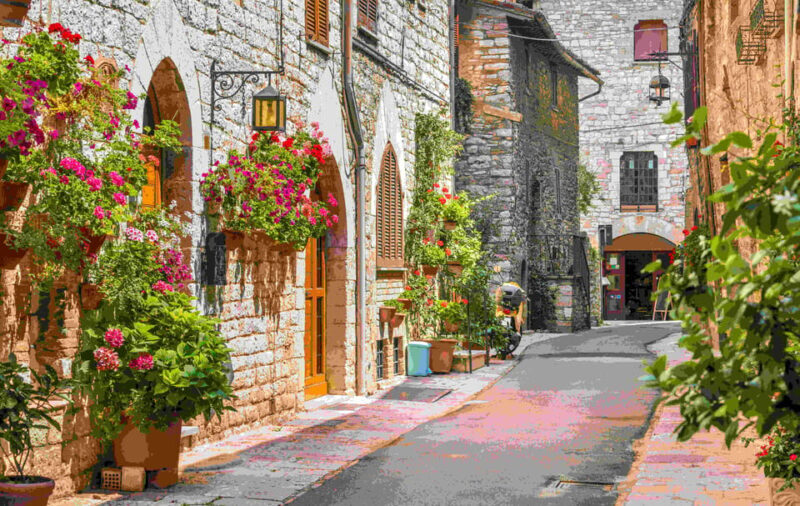 Rome: Day Trip From Rome to Assisi with a Local - Key Points