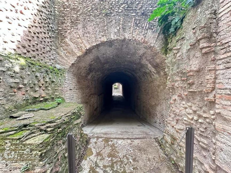 Rome: Domus Tiberiana, Roman Forum, and Palatine Hill Tour - Is This Tour Worth the Price?