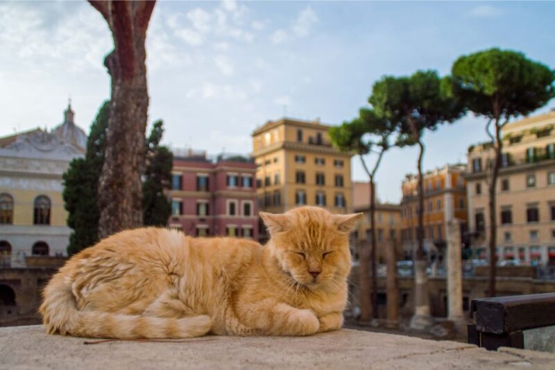 Rome: Family Fun Private Highlights Walking Tour with Pizza - Frequently Asked Questions