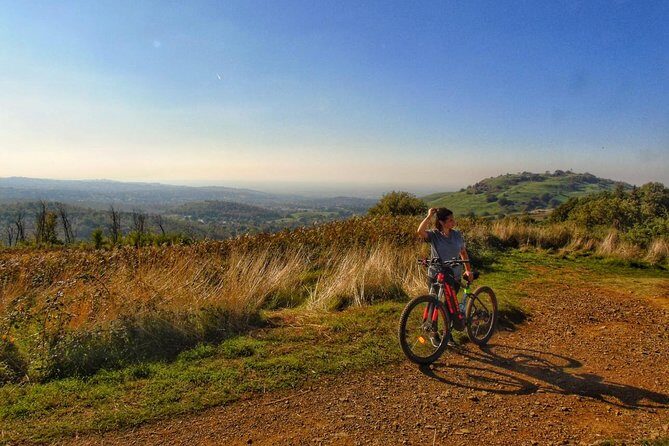 Rome: Frascati Vineyard Bike Tour with Train Tickets - Key Points