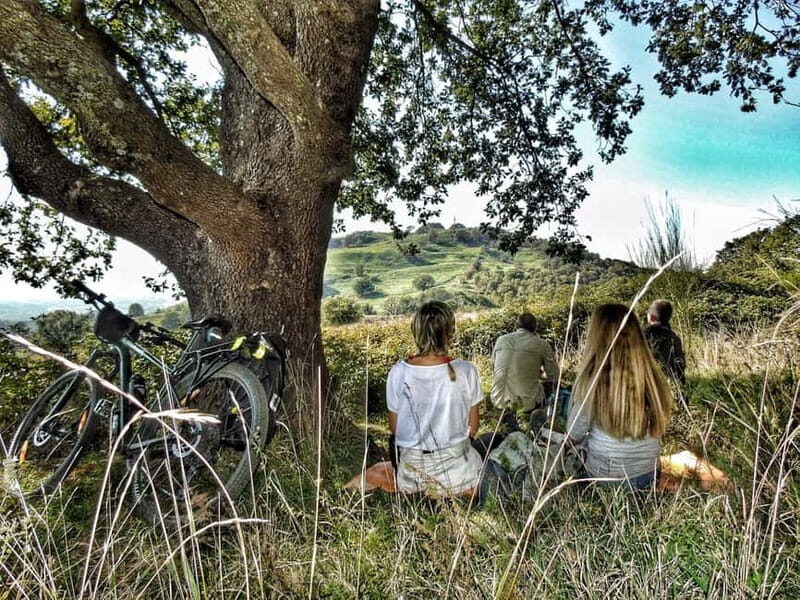 Rome: Frascati Vineyard Bike Tour with Wine Tasting - Key Points