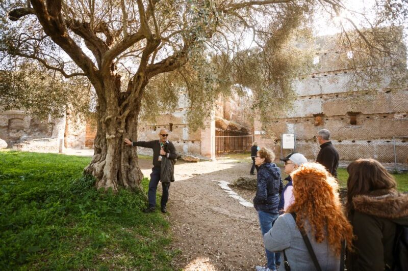 Rome: Hadrian's Villa and Villa d'Este Half-Day Tour - Key Points