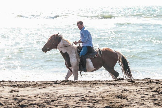 Rome: Horseback Riding on the Beach with aperitif - A Deep Dive into the Experience