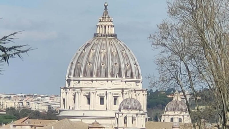 Rome: Instagram Highlights Tour by Luxury Van - Transport & Experience Details