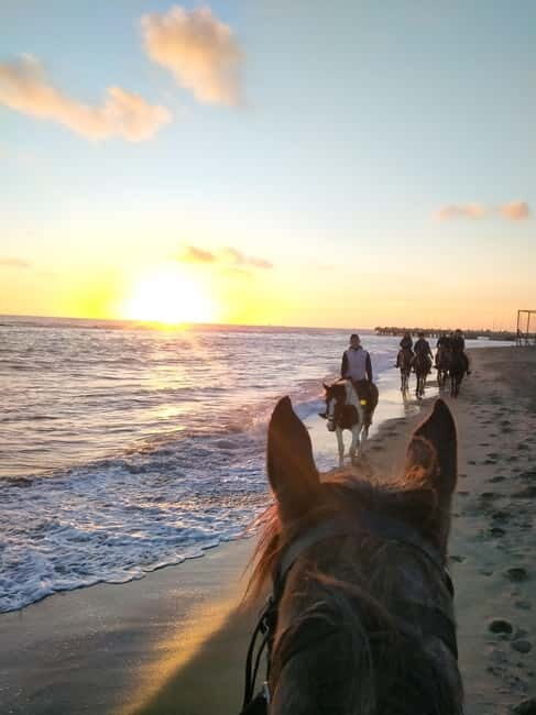 Rome on Horseback : Ancient Ostia & the beach with Aperitif - An Introduction to the Experience
