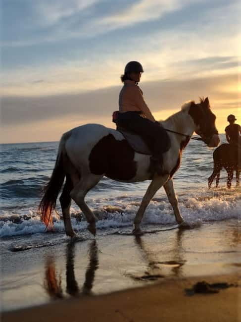 Rome on Horseback : Ancient Ostia & the beach with Aperitif - Practical Considerations