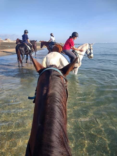 Rome on Horseback : Ancient Ostia & the beach with Aperitif - FAQ