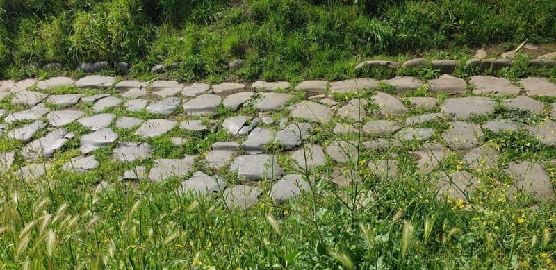 Rome: Parco degli Acquedotti Guided Walking Tour - Final Thoughts: Who Will Love This Tour?