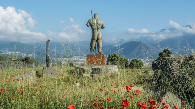 Rome: Pompeii Tour with Wine and Lunch by High Speed Train - Key Points