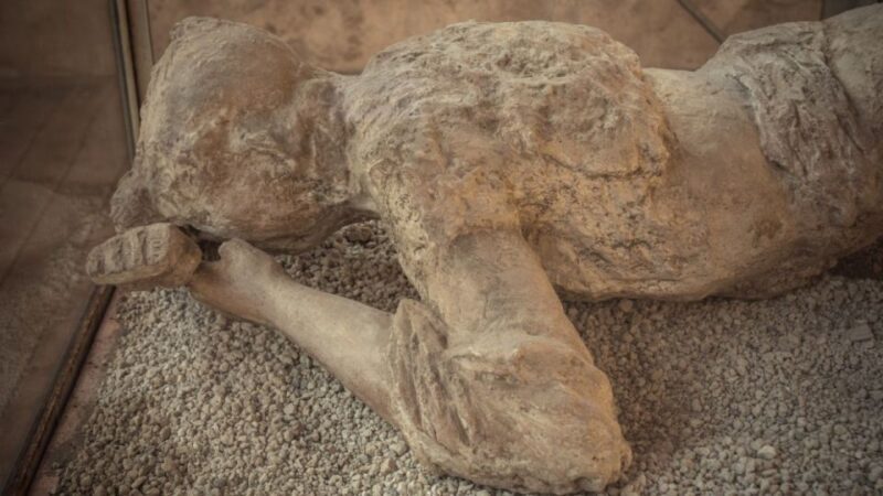 Rome: Pompeii Tour with Wine and Lunch by High Speed Train - The Pompeii Experience: A Fully Guided Tour