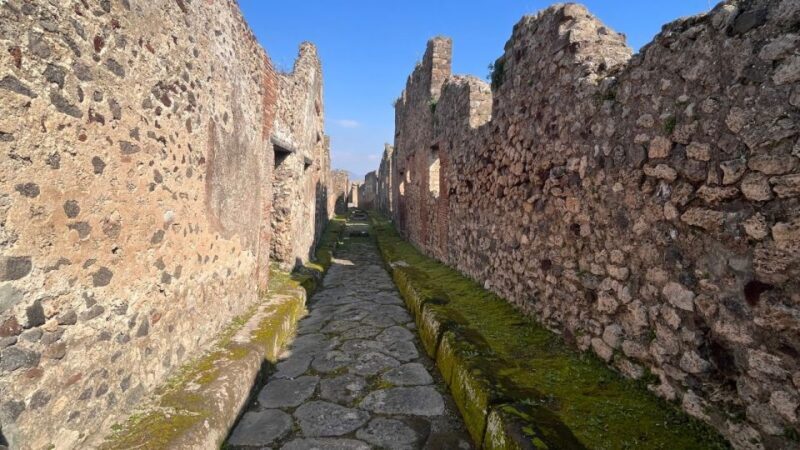 Rome: Pompeii Tour with Wine and Lunch by High Speed Train - The Vineyard and Lunch: Tasting the Volcanic Soil