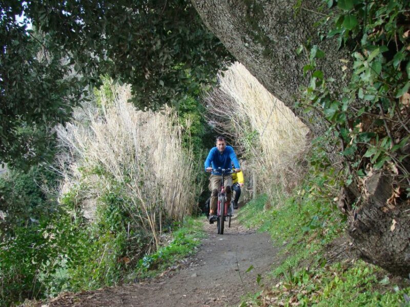 Rome: Private Appian Way & Albano Lake Full-Day E-Bike Tour - Key Points