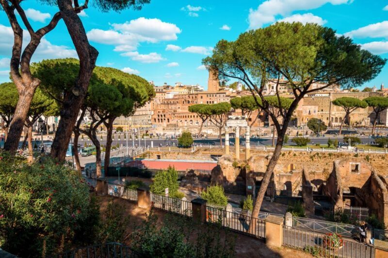Rome: Private Capitoline Museums Tour - A Deep Dive into the Experience
