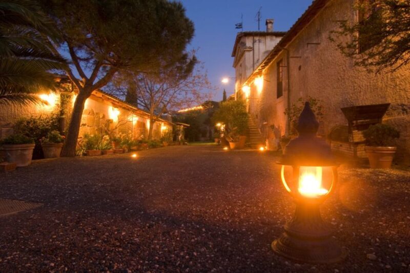 Rome: Private Countryside Wine Tasting Tour - The Vineyard: History and Beauty Intertwined