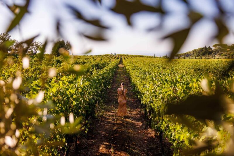 Rome: Private Countryside Wine Tasting Tour - The Overall Atmosphere