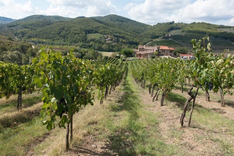 Rome: Private & Fully Customizable Day Trip to Tuscany. - An In-Depth Look at the Experience