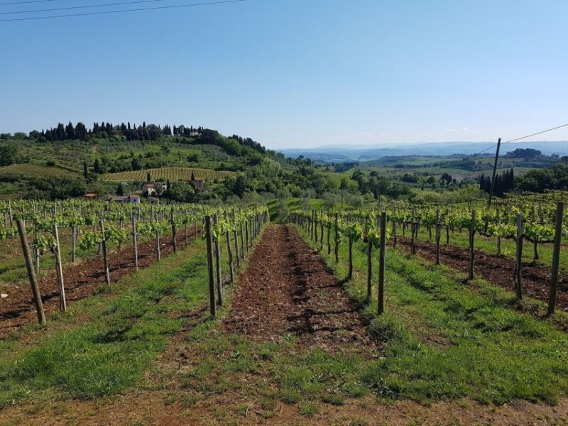 Rome: Private Tour to San Gimignano, Siena & Winery Visit - FAQ
