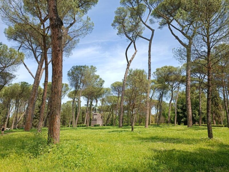 Rome: Private Tour with a Local Guide - Who will benefit most from this tour?