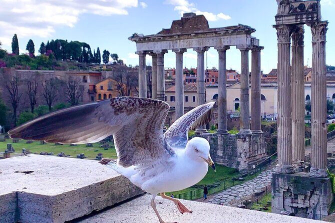 Rome: Private Tour with Guide - An In-Depth Look at the Tour Itinerary