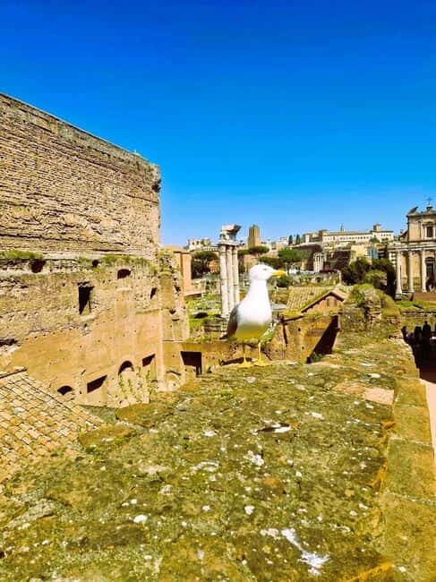 Rome: Small-Group Colosseum, Roman Forum & Palatine Hill - Key Points