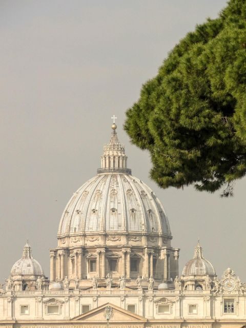 Rome: St. Peter's Basilica, papal tombs tour also with Dome - Overview of the Tour: What to Expect