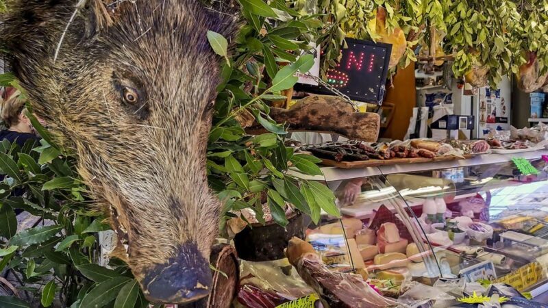 Rome: Testaccio Food Tour with Breakfast and Tastings - Key Points