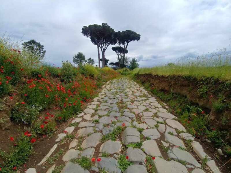 Rome: The Ancient Aqueducts of Rome Guided Tour - Exploring Rome’s Hidden Waterways: What You’ll See and Experience