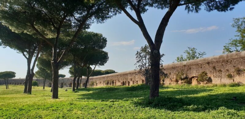 Rome: The Ancient Aqueducts of Rome Guided Tour - Who Should Consider This Tour?