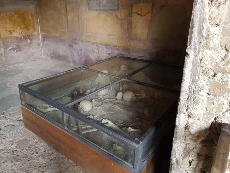 Rome to Pompeii: Transfers with Entry and Tour Guide Option - Key Points