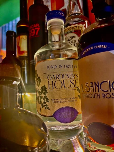 Rome Vatican area: italian GIN tasting - FAQs