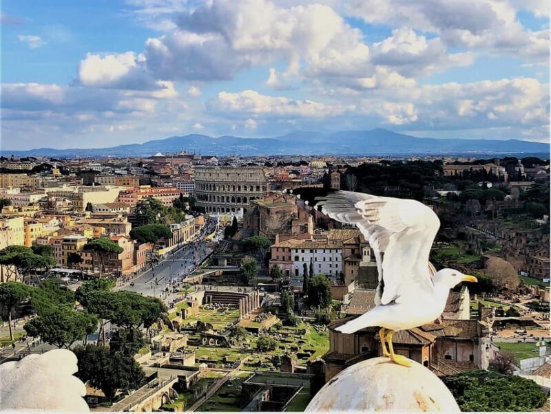 Rome: Vatican, Colosseum & Main Squares Tour w/ Lunch & Car - An In-Depth Look at Your Day in Rome