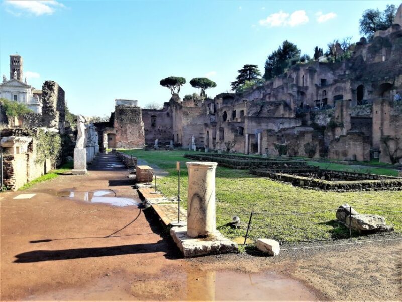 Rome: Vatican, Colosseum & Main Squares Tour w/ Lunch & Car - Who Will Love This Tour?
