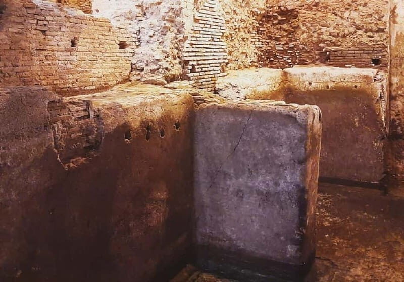 Rome: Vatican Necropolis and Via Triumphalis Guided Tour - Why This Tour Offers Great Value