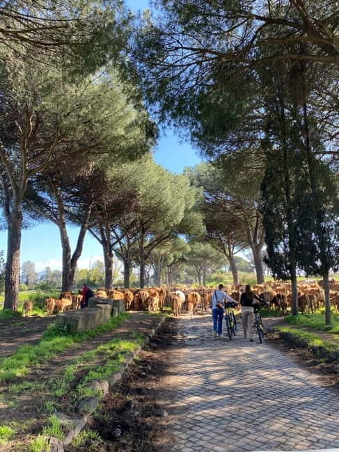 Rome:Appian Way E-bike Tour, Catacombs, Aqueducts & Transfer - An In-Depth Look at the Appian Way E-bike Tour