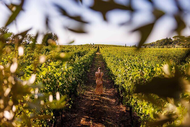 Rome's Vineyard Symphony: Countryside Winetasting Experience - Final Thoughts: Who Will Love This Tour?