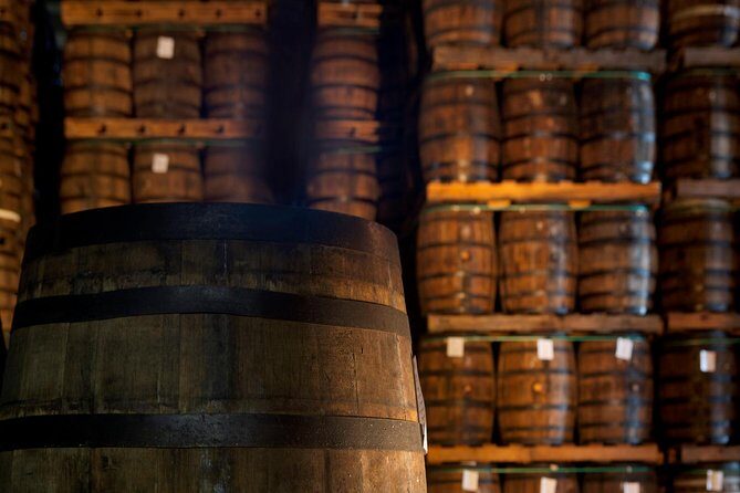 Ron Barcelo Anejo Experience Factory Tour - A Closer Look at the Tour Itinerary