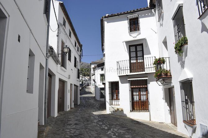 Ronda and White Villages Guided Day Tour from Seville - Final thoughts
