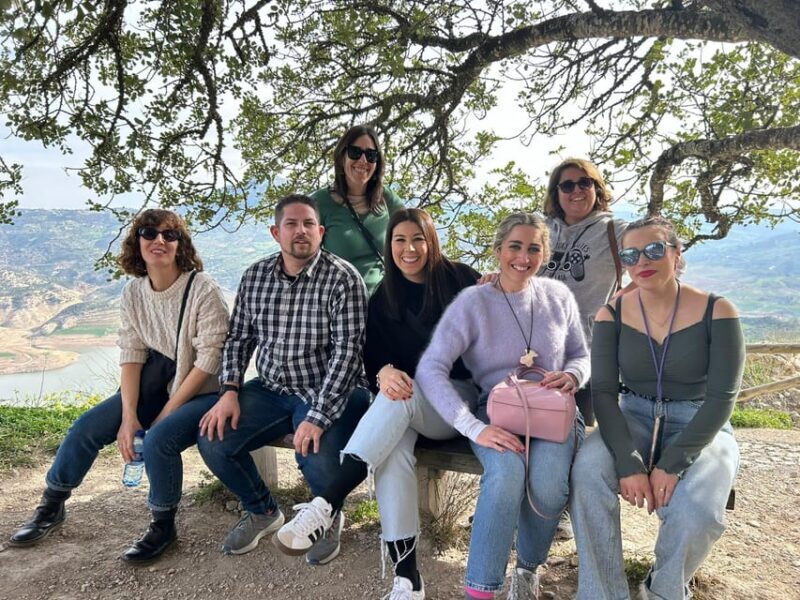 Ronda and White Villages: Small Group Day Trip Experience - Summary of the Pros and Cons