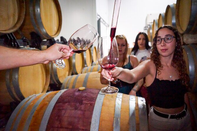 Ronda from Malaga: Top Quality Wine Tour & city exploring - Key Points