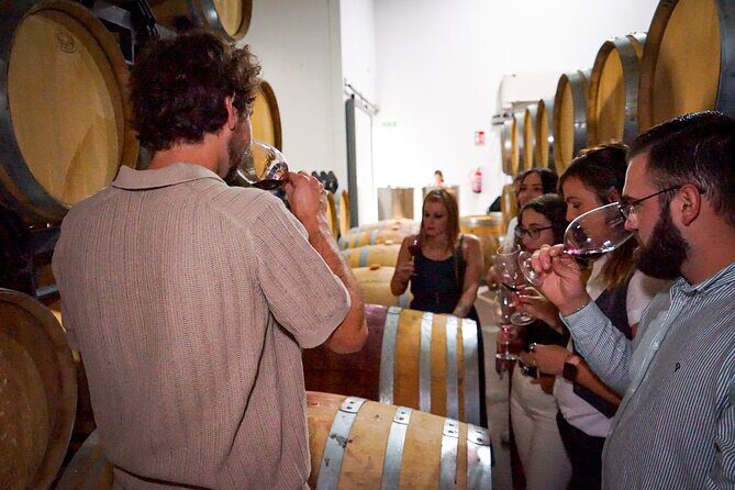 Ronda from Malaga: Top Quality Wine Tour & city exploring - An Authentic Day in Ronda: A Practical Guide