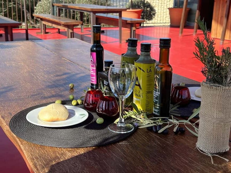 Ronda: LA Almazara LA Organic, Olive Oil Museum and Tasting - Why This Tour Matters for Travelers