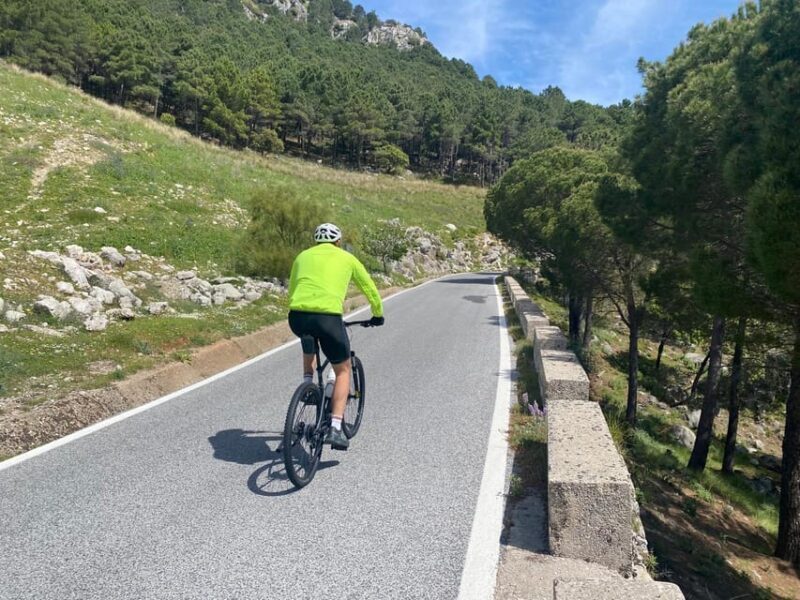 Ronda: Las Palomas Pass - Supported Cycling Tour - Easy - Who Should Book This Tour?