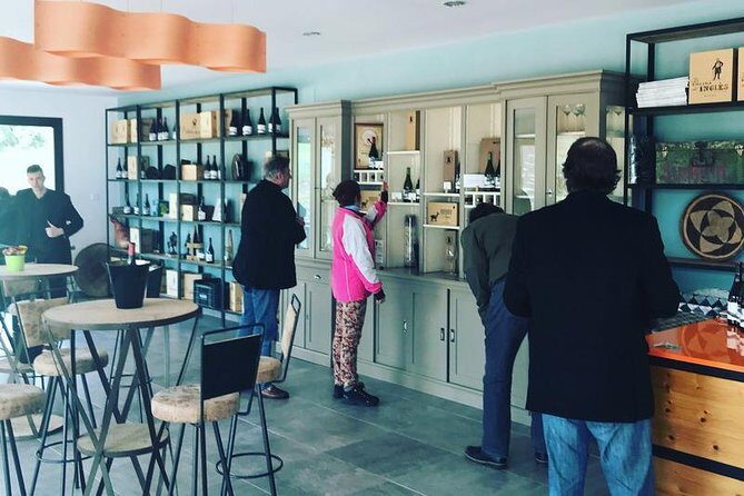 Ronda Private Wine Tour and Tapas from Marbella - Who Would Enjoy This Tour?
