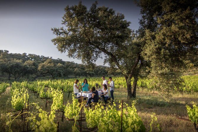 Ronda Private Wine Tour + Free Time in Ronda - A Closer Look at the Itinerary