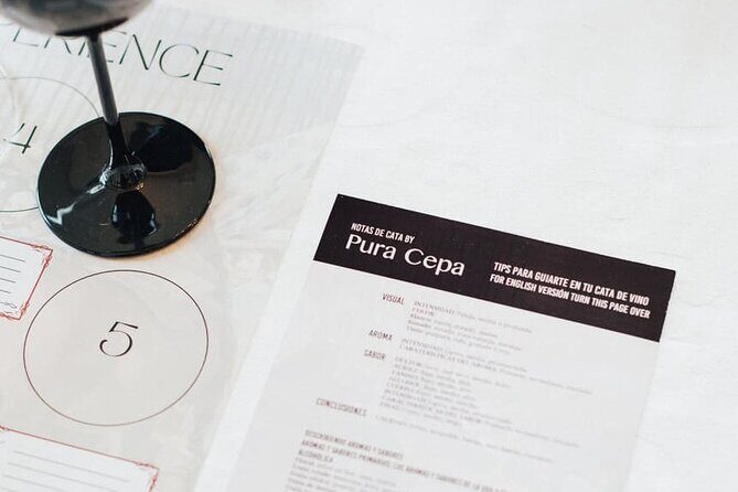 Ronda Wine Tasting Experience - A Closer Look at What to Expect