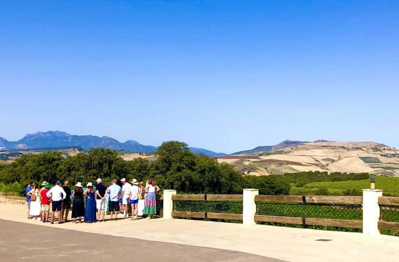 Ronda: Winery Tour with Wine Tasting and Tapas - Key Points