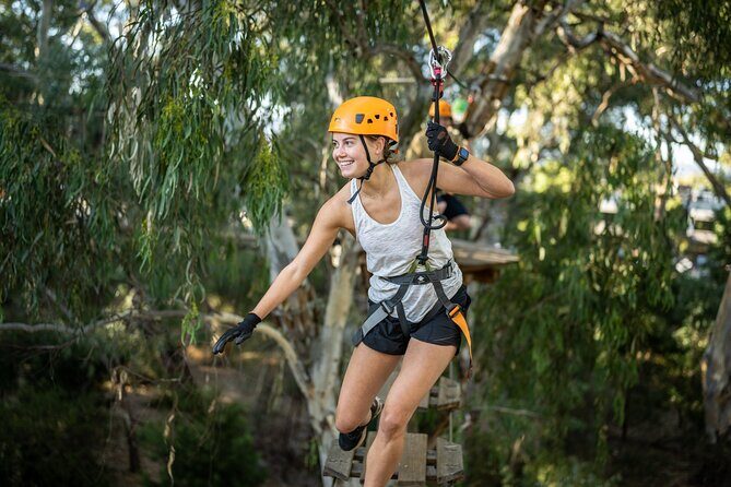 RoofClimb Adelaide Oval Experience - Authentic Reviews: What Participants Say