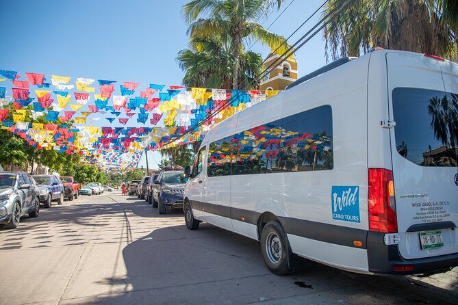 Roots of Baja Magical Town Tour in Todos Santos - What to Expect from the Roots of Baja Magical Town Tour